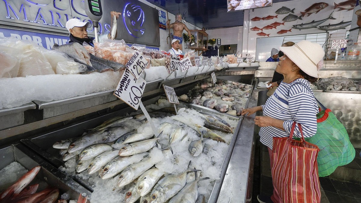 ¡Qué no te vean la cara! Checa cómo comprar pescados y mariscos frescos ...