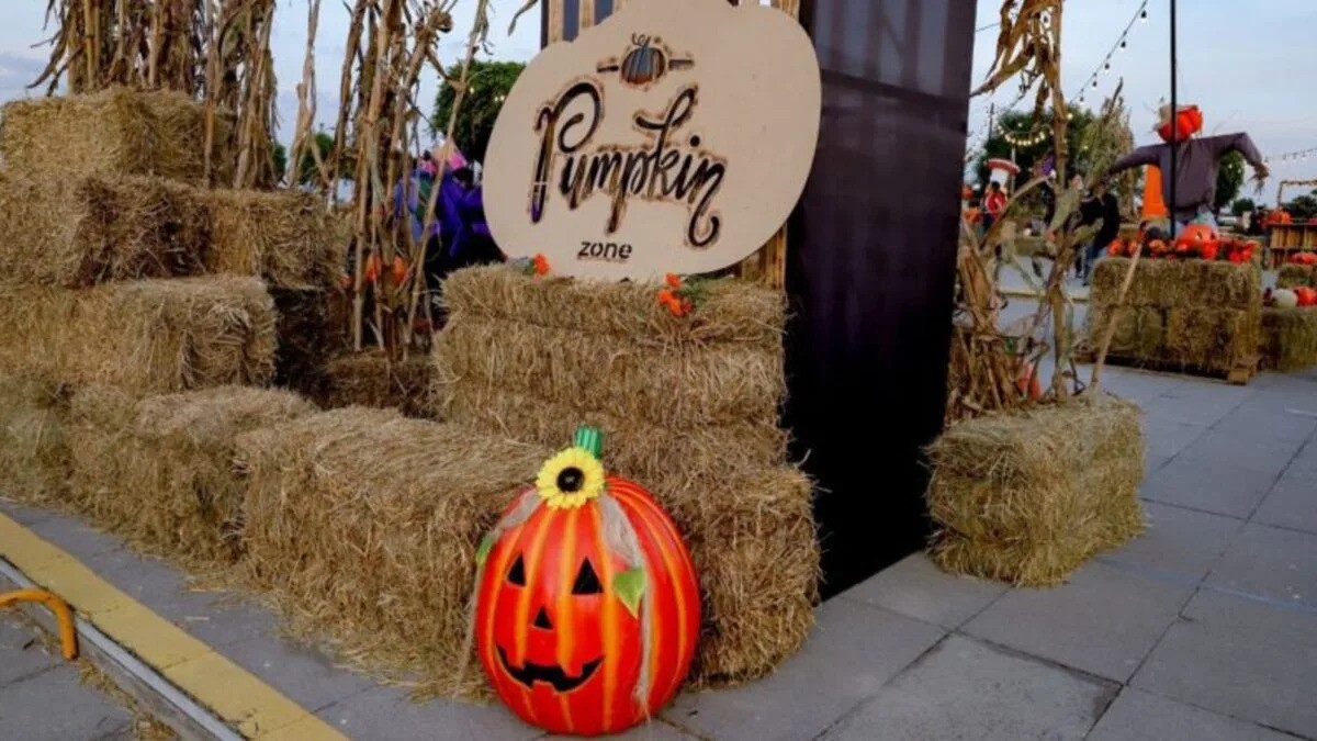 Planes de Halloween en Puebla: arma una sesión de fotos en Pumpkin Zone ...