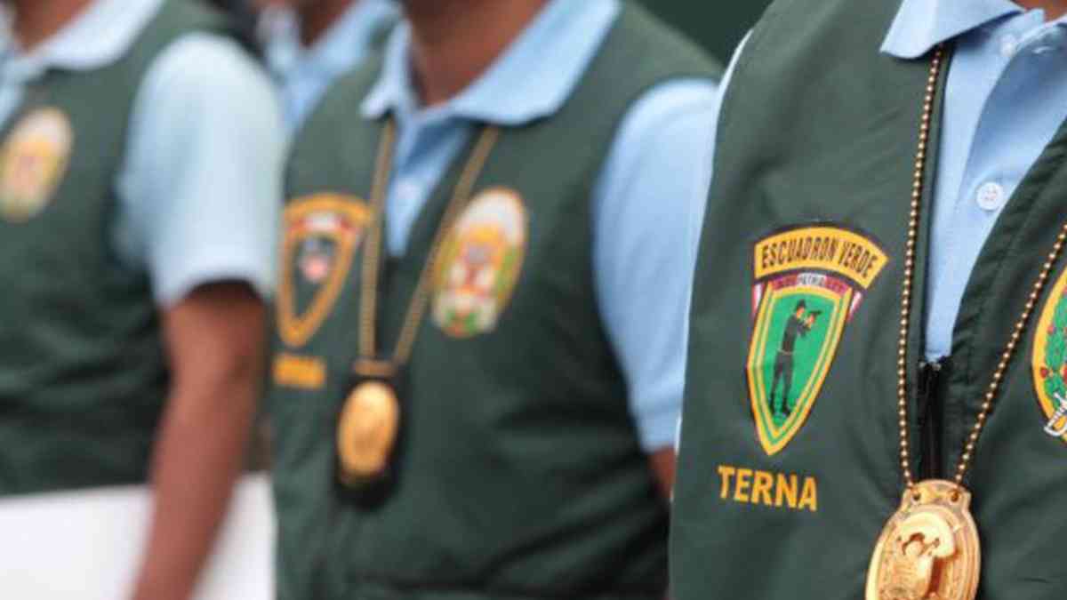 Grupo Terna sorprende a todo Perú con sus operativos fuera de serie ...