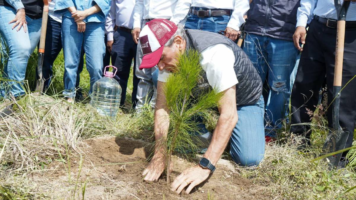 Puebla capital refuerza su compromiso ambiental: meta de plantar 100 ...