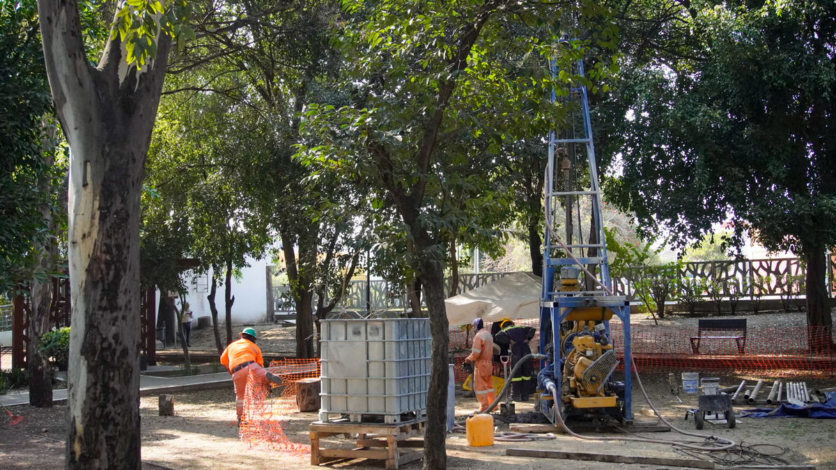 Descartan tala de árboles para construir Cablebús de Puebla, serán ...