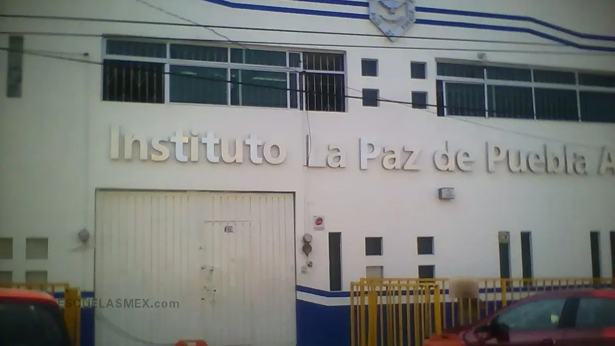 Diseccionan animales vivos en el Instituto La Paz de Puebla - Ambas Manos